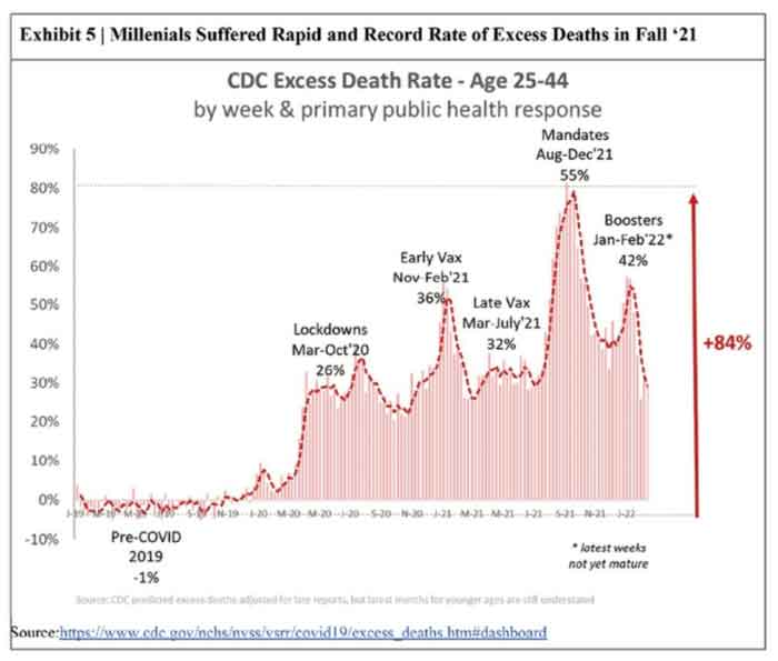 The Silver Bear Cafe