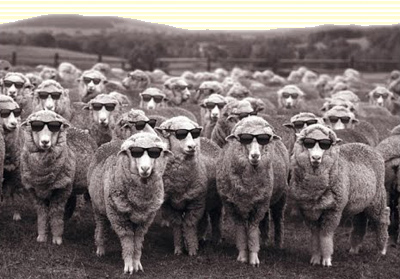 The Silver Bear Cafe