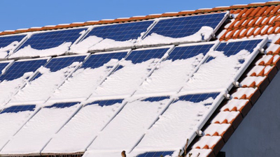 The Silver Bear Cafe