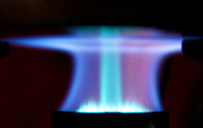 The Silver Bear Cafe