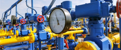 The Silver Bear Cafe