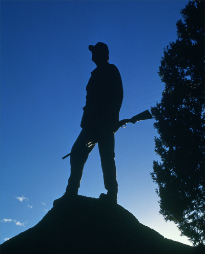 The Silver Bear Cafe