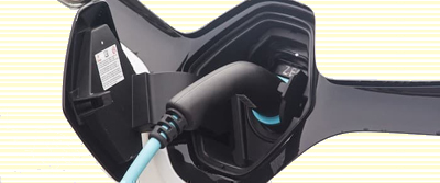 The Silver Bear Cafe