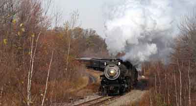 The Silver Bear Cafe