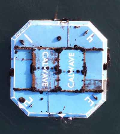 The Silver Bear Cafe