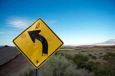 The Silver Bear Cafe