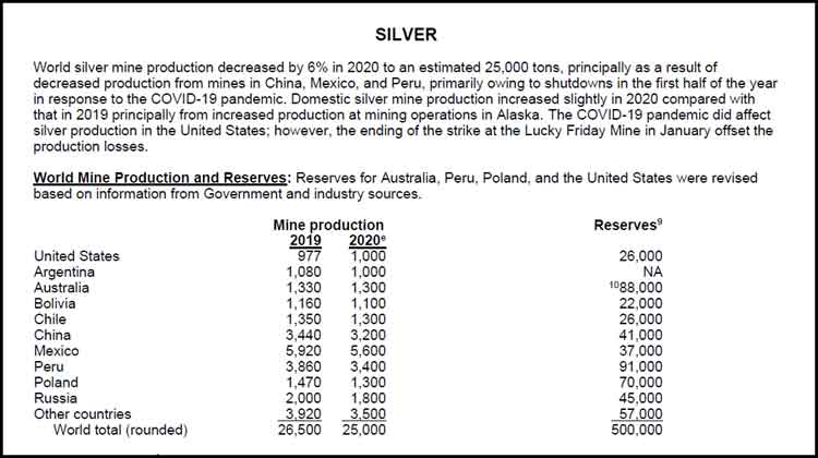 The Silver Bear Cafe